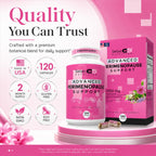 holistic approach to menopause wellness