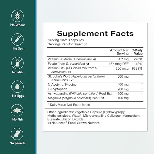 Holistic approach to mood improvement
