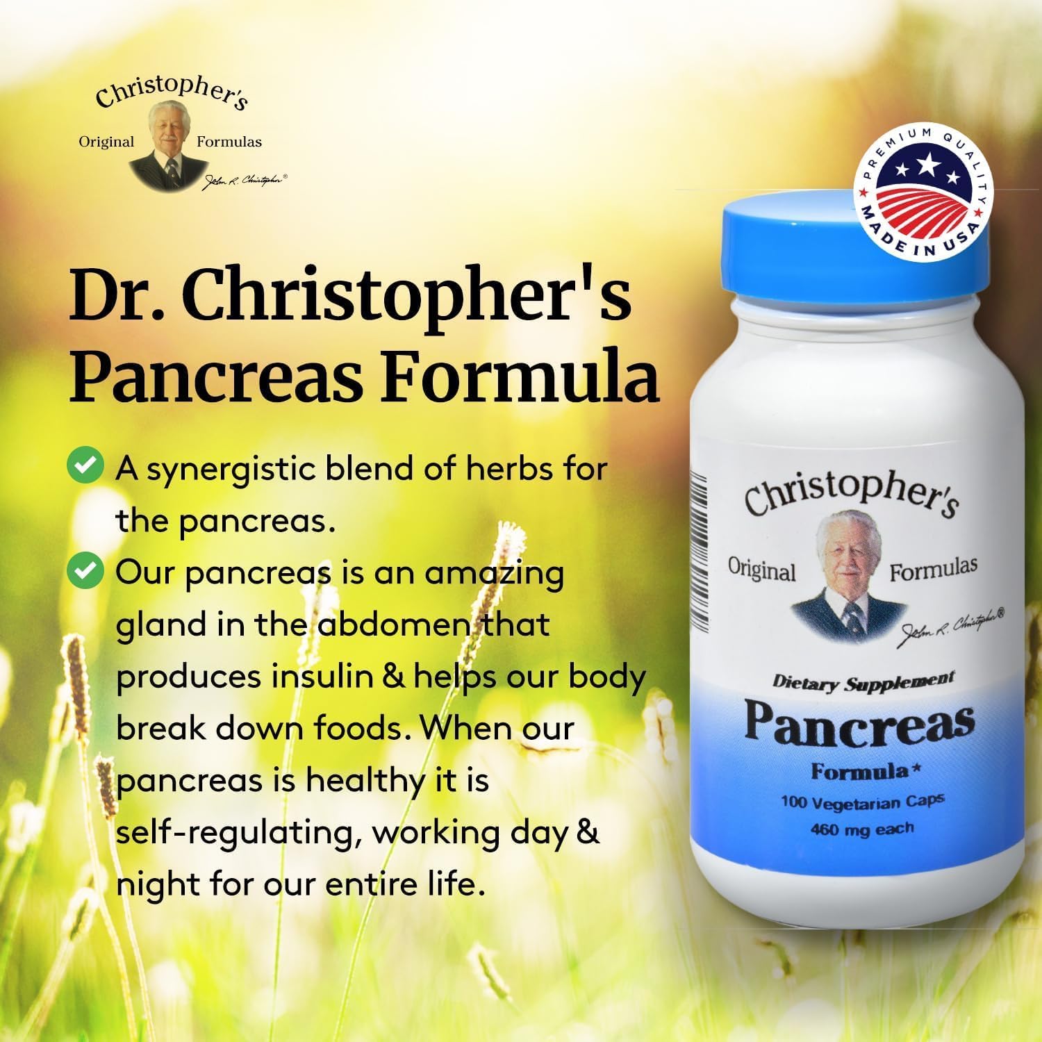 Holistic approach to pancreas function