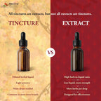 Holistic approach to relaxation with herbs
