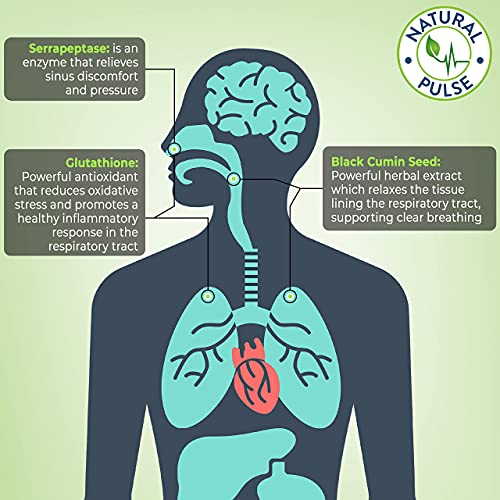 Holistic approach to respiratory wellness