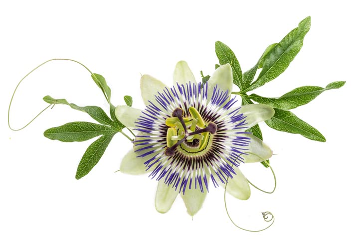 holistic approach to stress relief