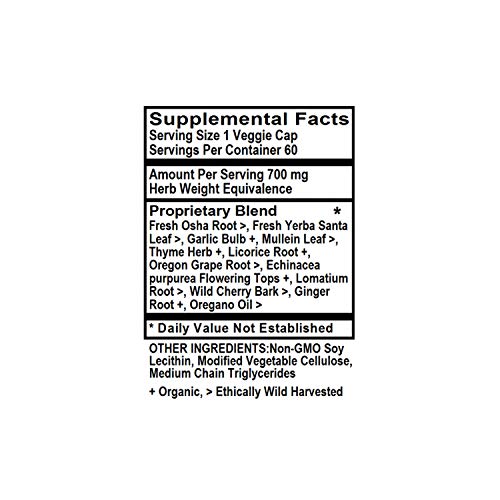 holistic approach to vitamin supplementation