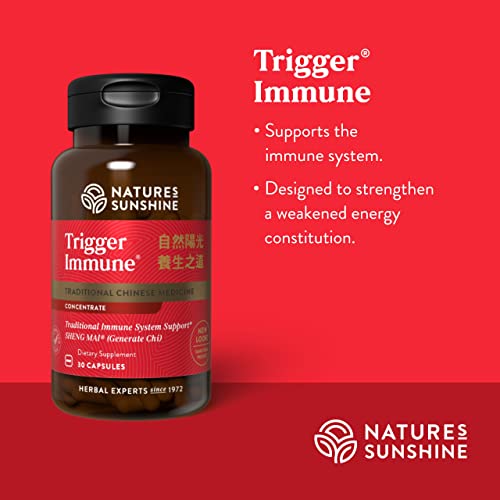 holistic approach to wellness supplements
