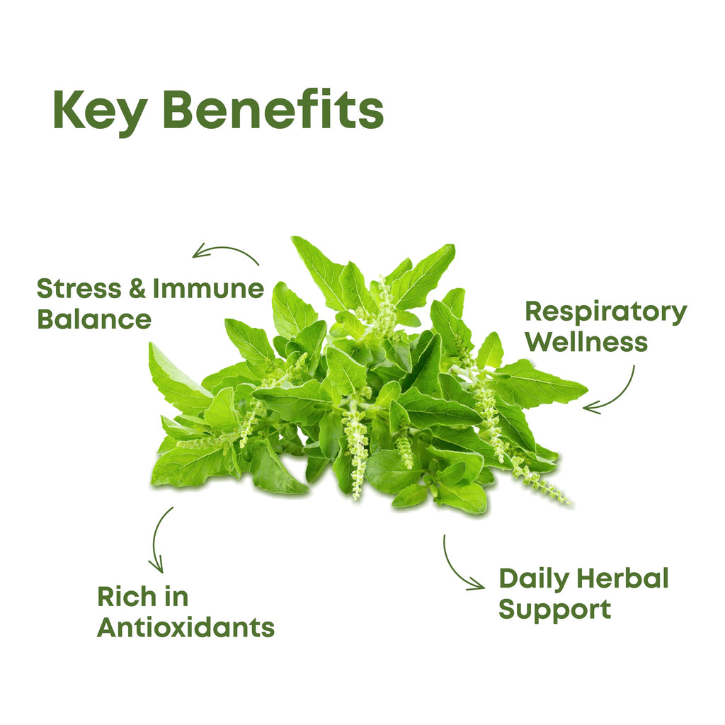 Holistic approach with tulsi powder