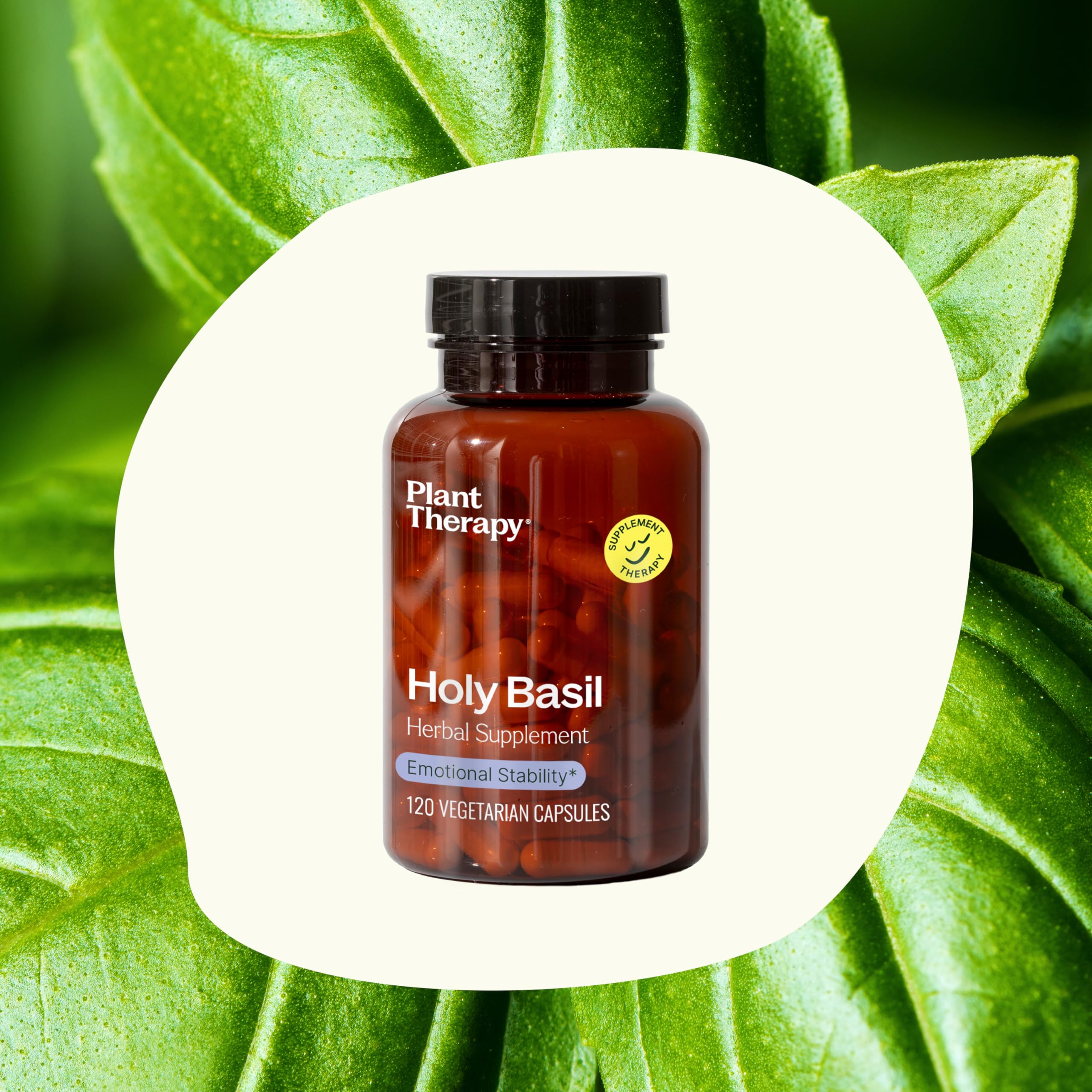 holistic benefits of holy basil capsules