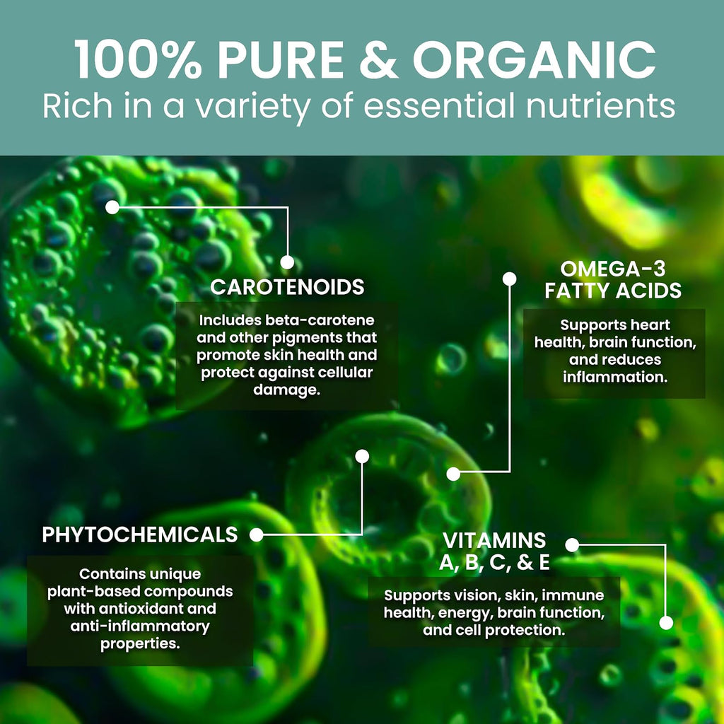 Holistic Bin phytoplankton for energy boost