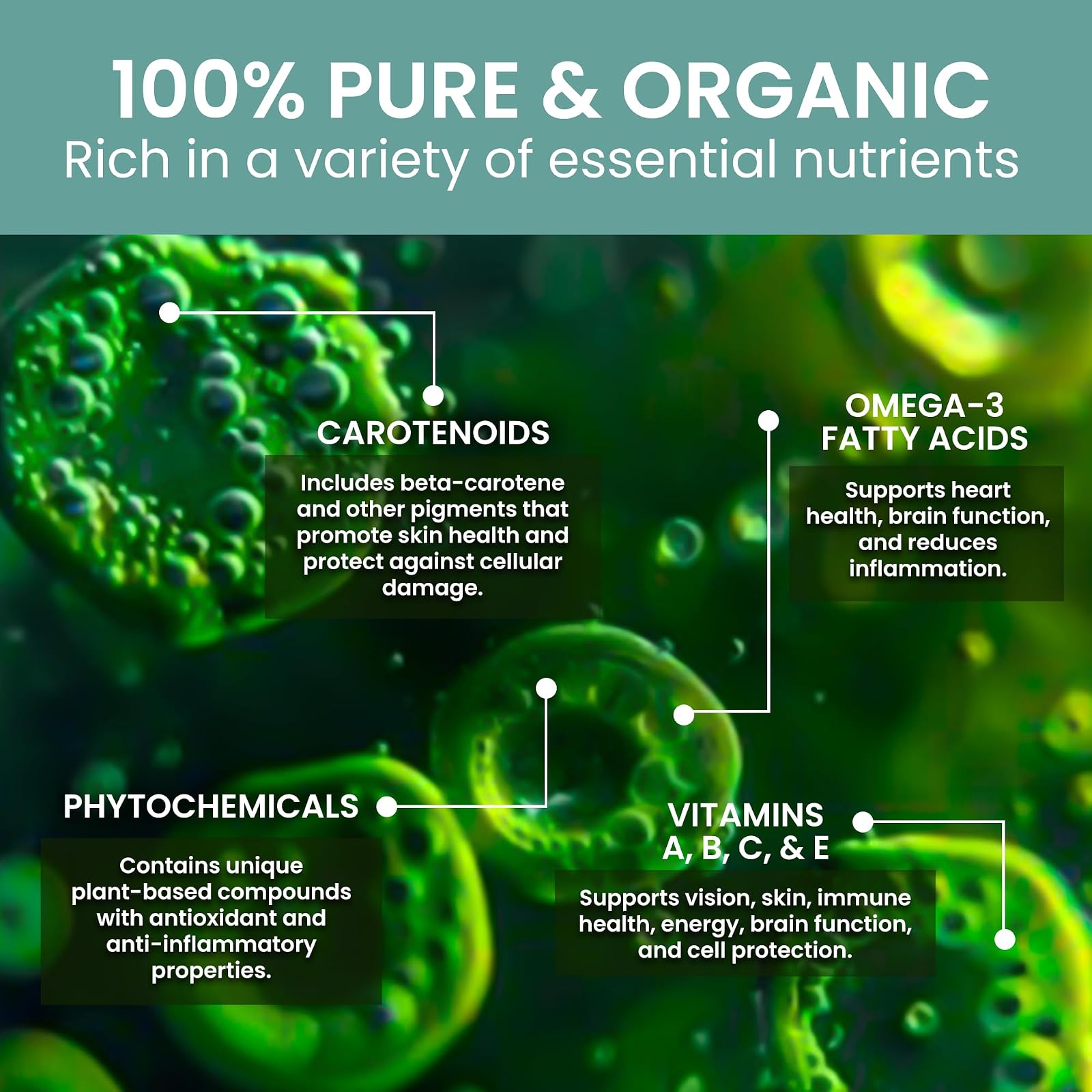 Holistic Bin phytoplankton for energy boost