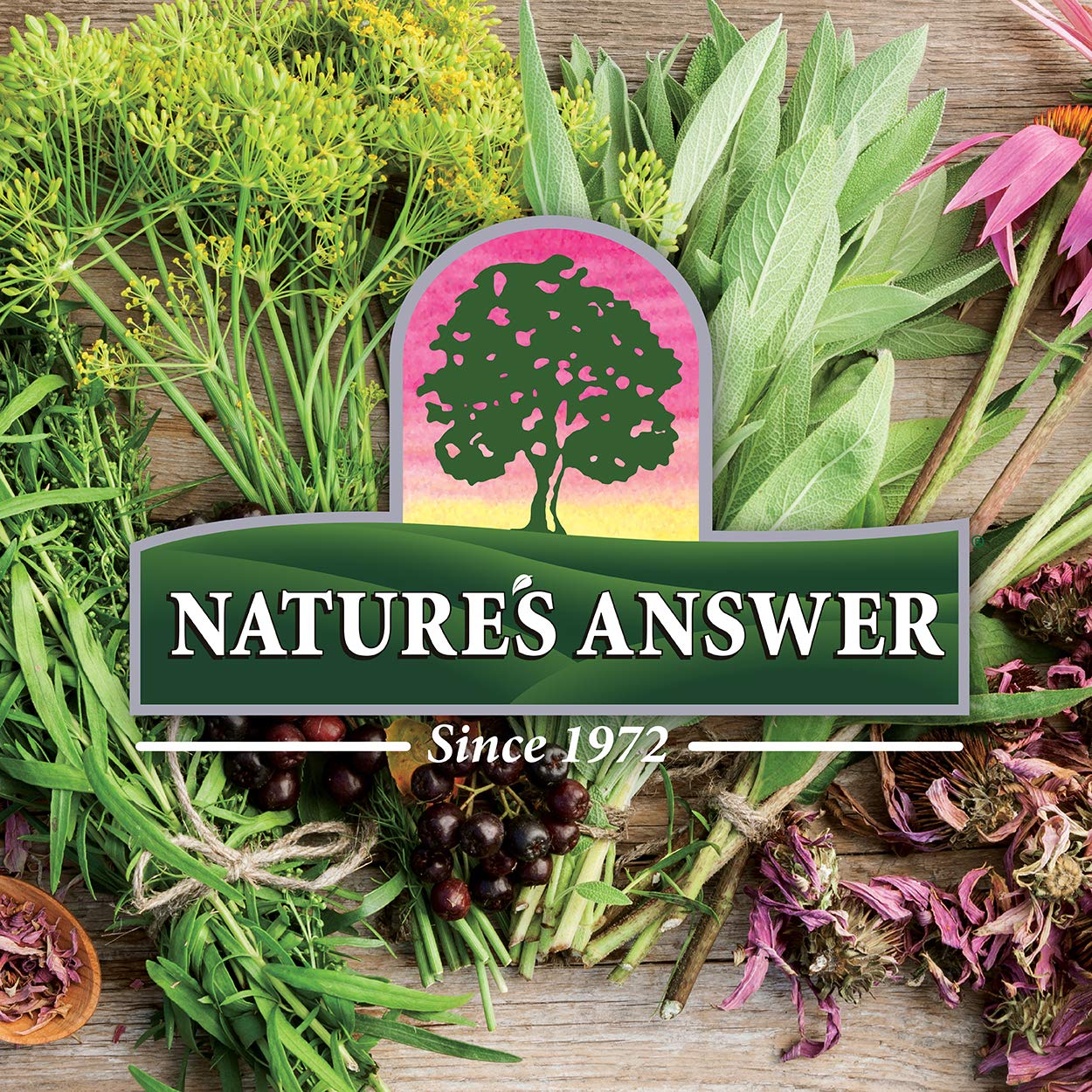 Holistic Cat's Claw vitamin A source