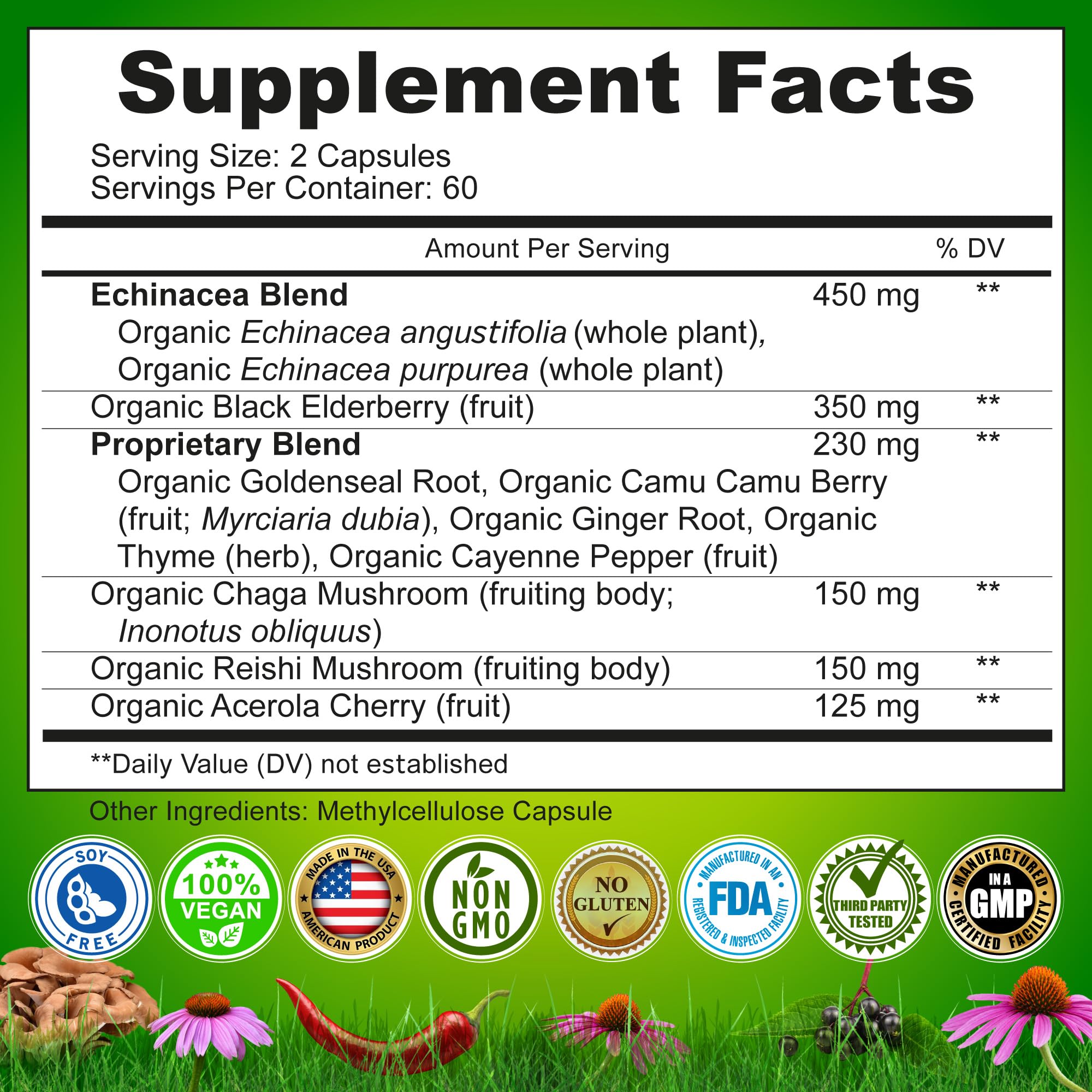 holistic echinacea solution for colds