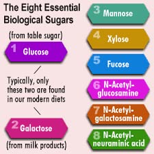 Holistic health benefits of GlycoVital blended vitamins