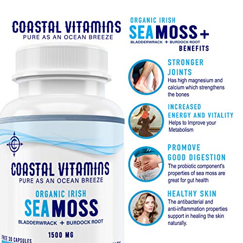 holistic health benefits of sea moss