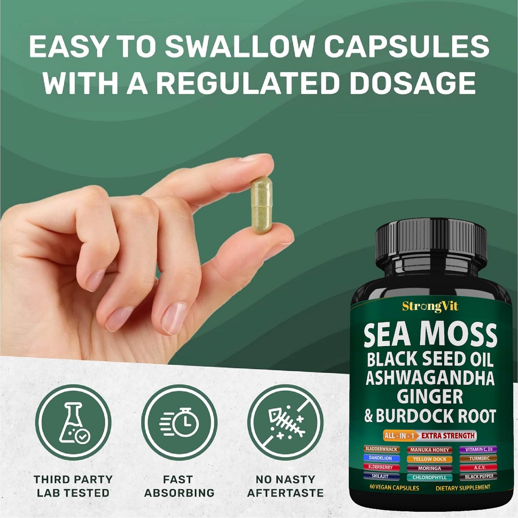 holistic health benefits of sea moss