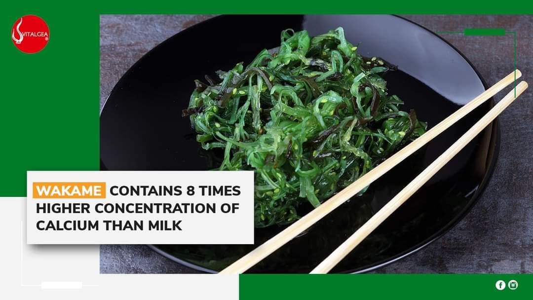 holistic health benefits of spirulina