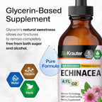 holistic health echinacea benefits
