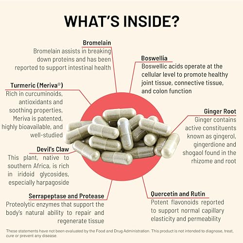 holistic health mineral supplements