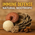 holistic health mushroom supplement