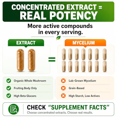 holistic health mushroom supplements