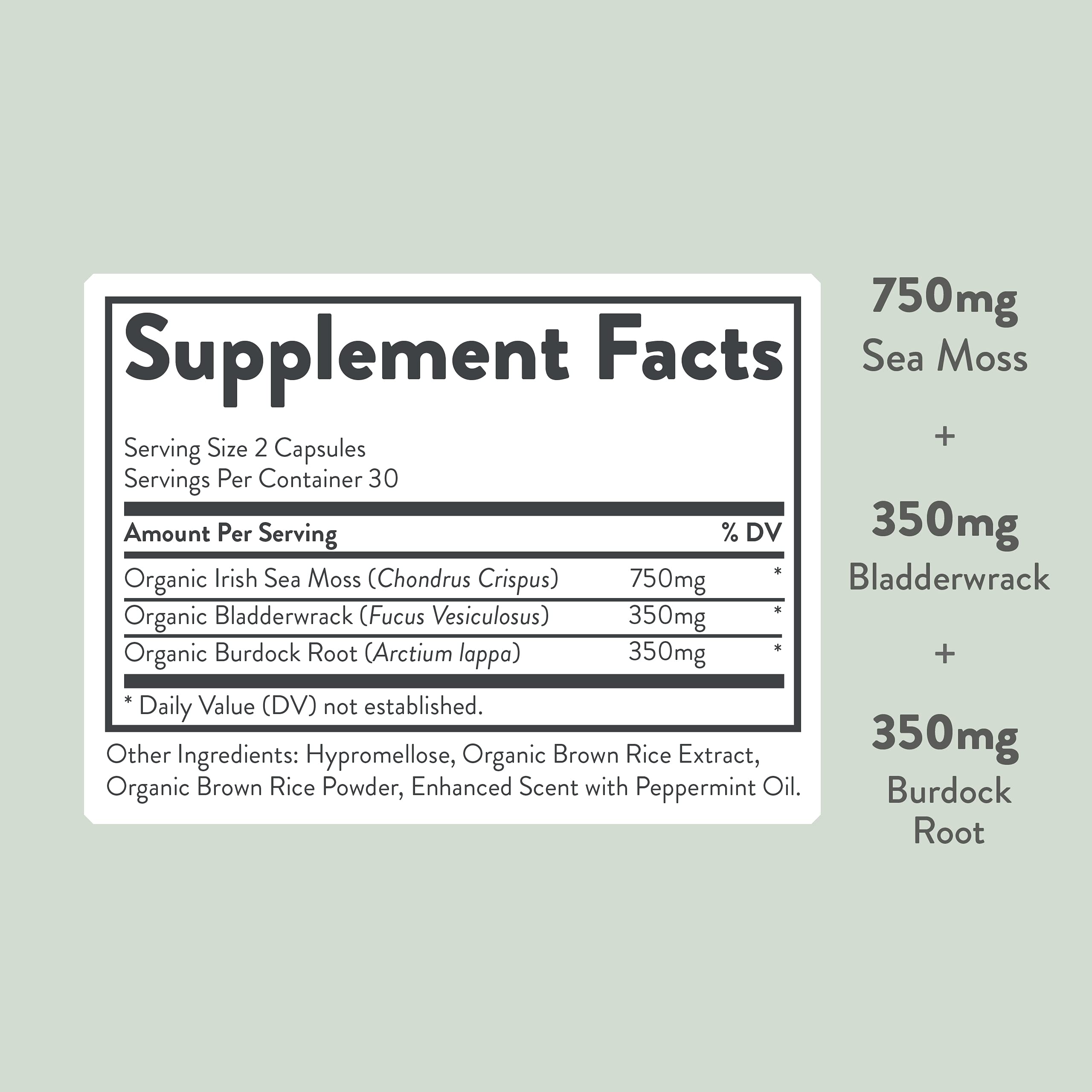 holistic health sea moss capsules