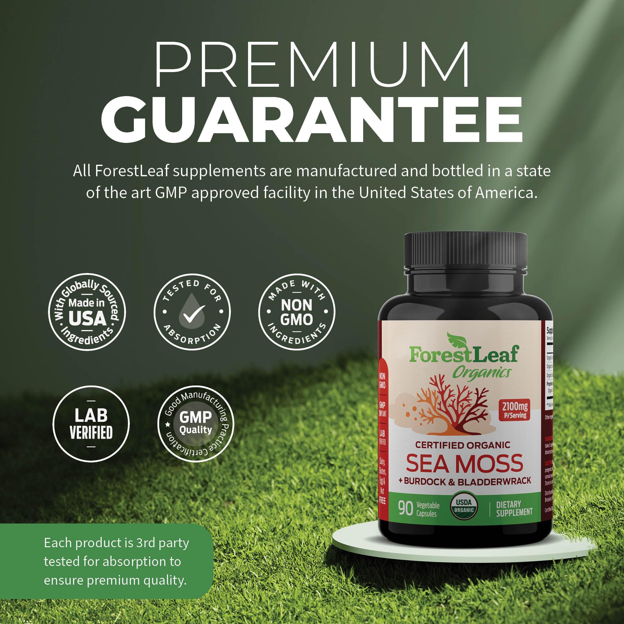 holistic health sea moss pills