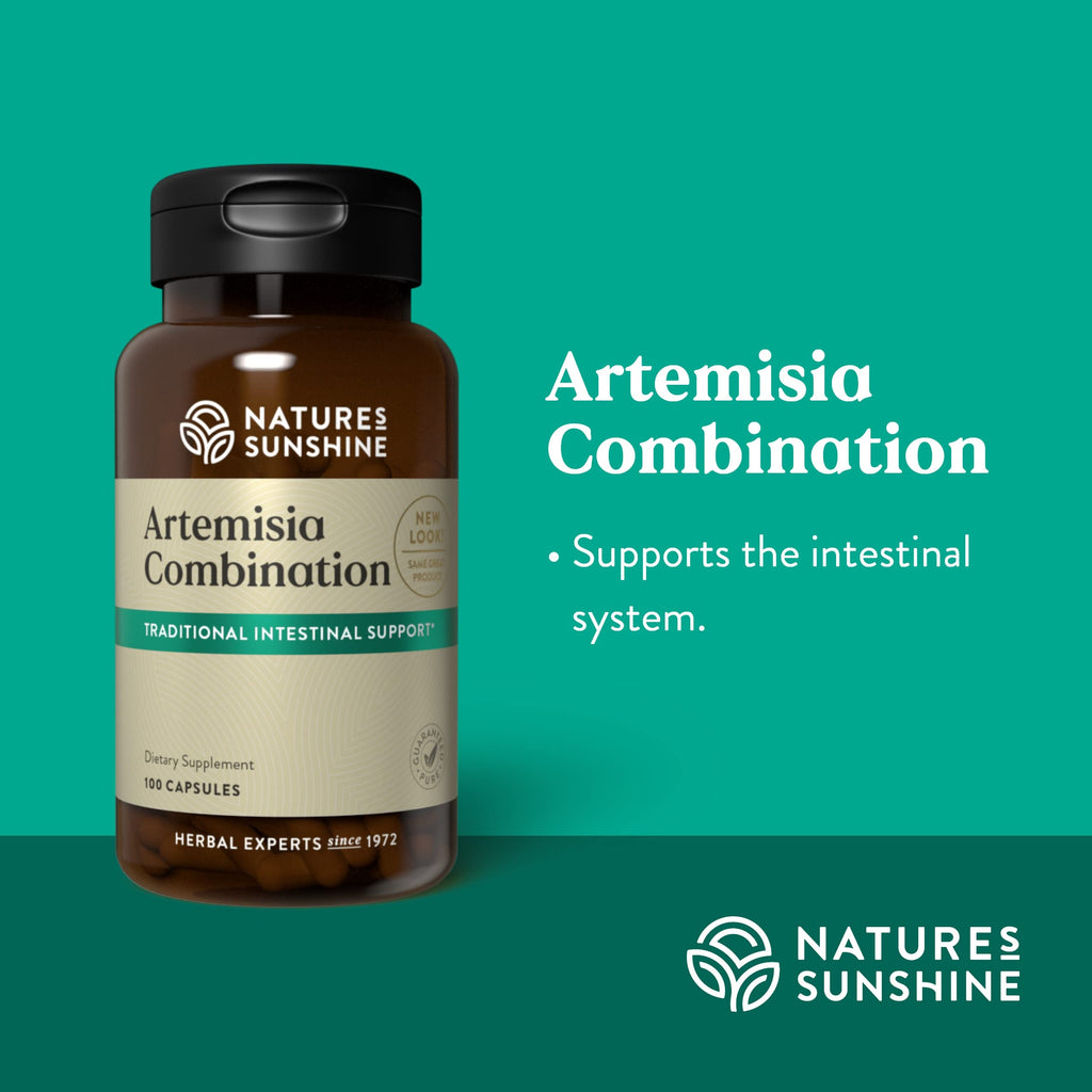 Holistic health supplement blend