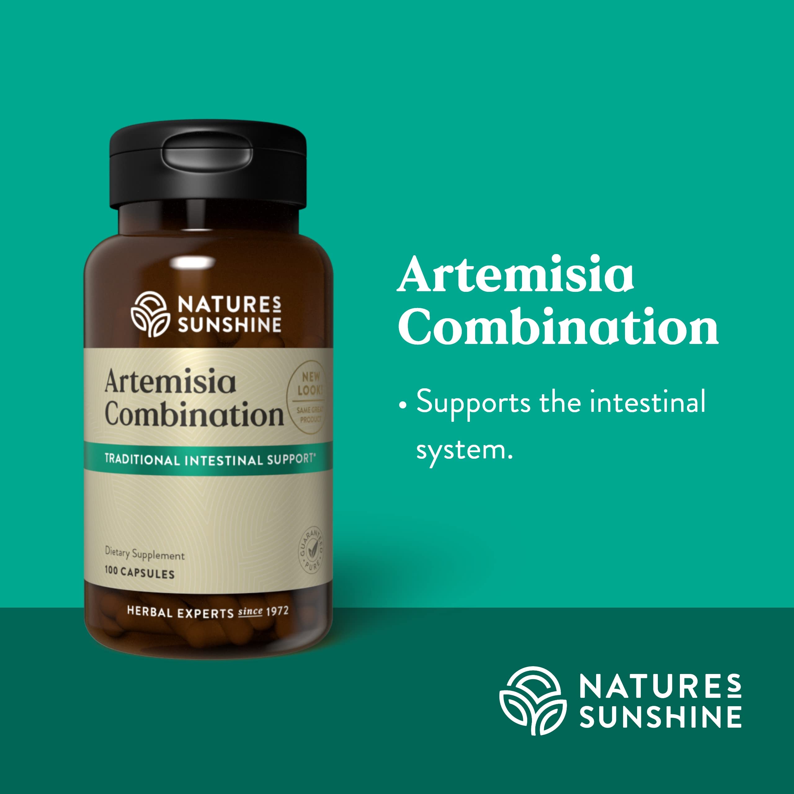 Holistic health supplement blend