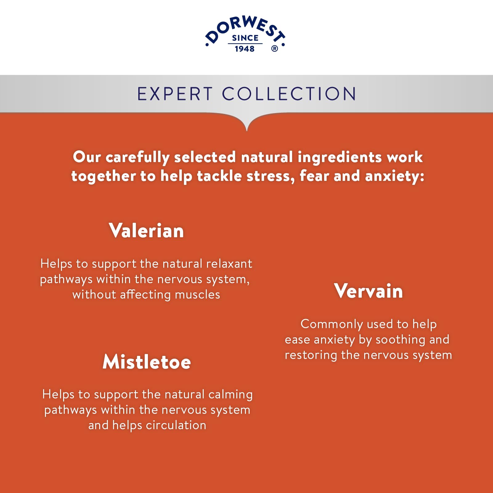 holistic health supplement for dogs