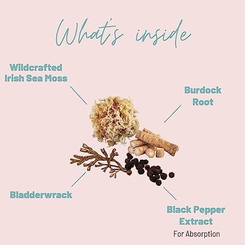 holistic health supplements with sea moss