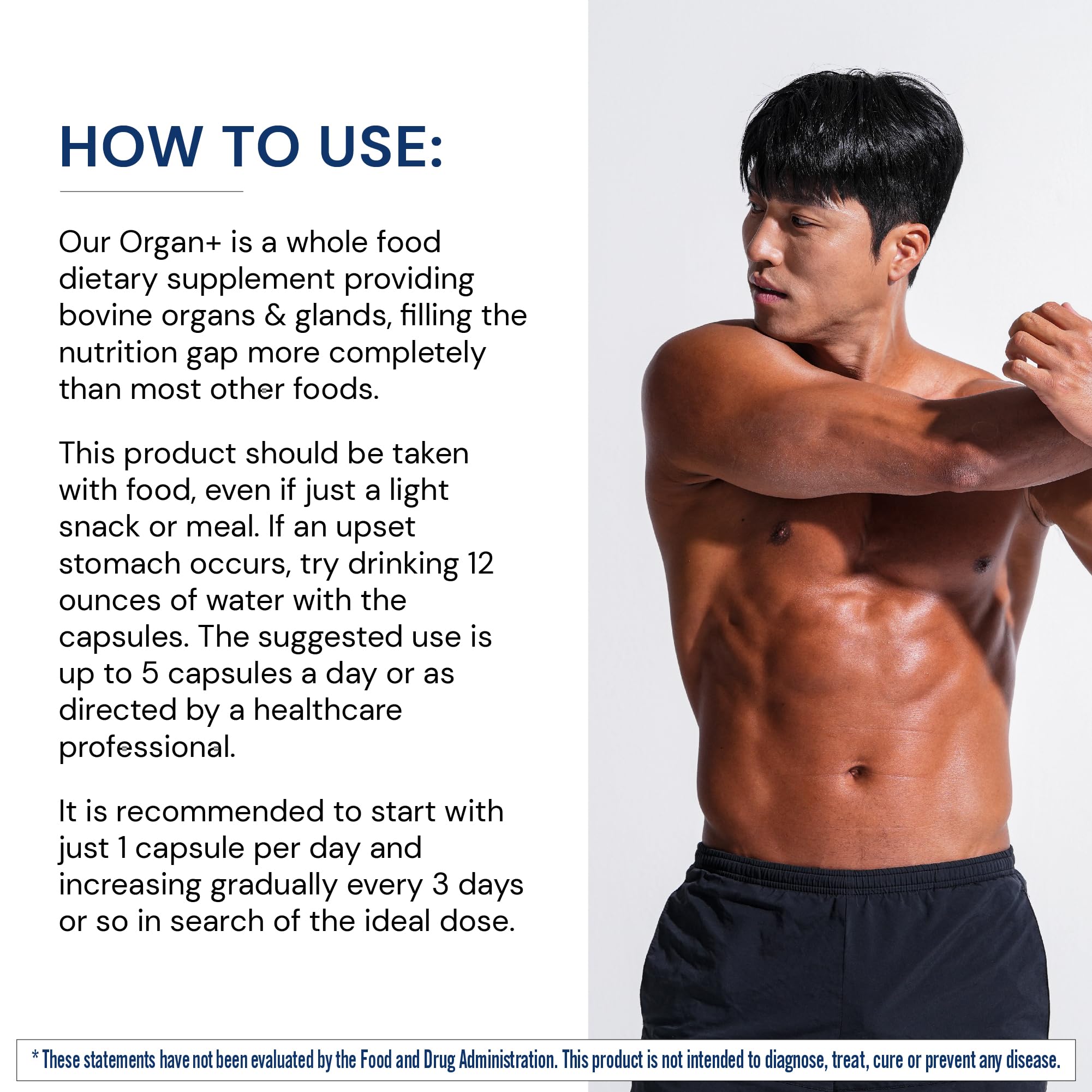 Holistic health support with organ capsules