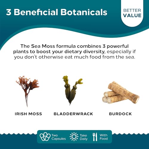 holistic health vitamin capsules
