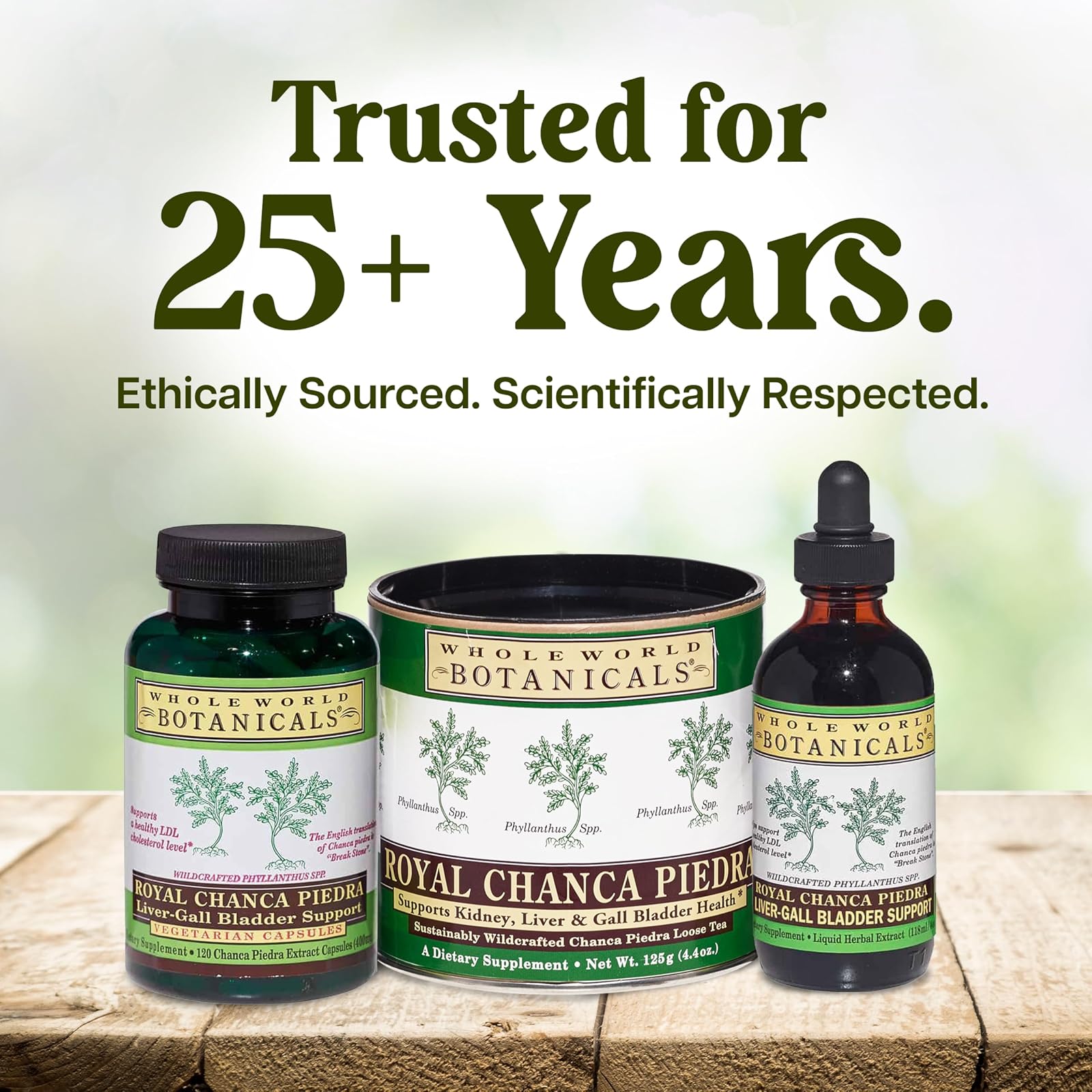 holistic health with Chanca Piedra