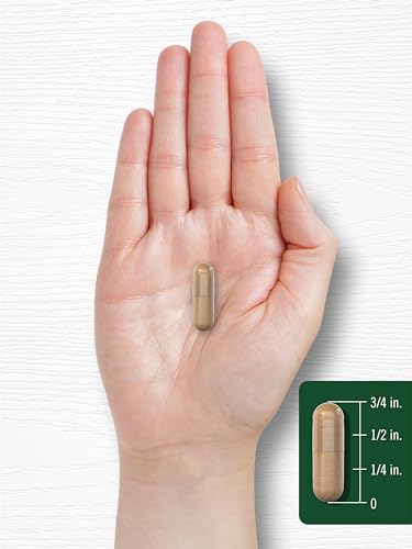 Holistic health with chasteberry supplements