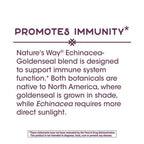 Holistic health with echinacea extract