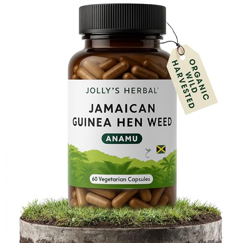 holistic health with herbal capsules