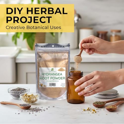 holistic health with hydrangea root