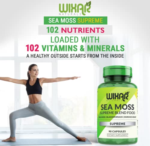 holistic health with Irish seamoss