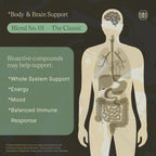Holistic health with mushroom blend