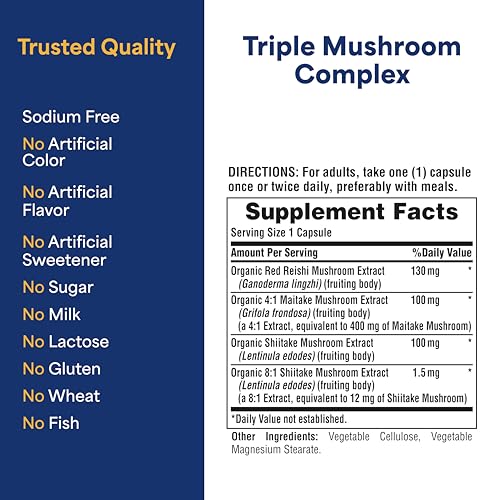 holistic health with mushroom extracts