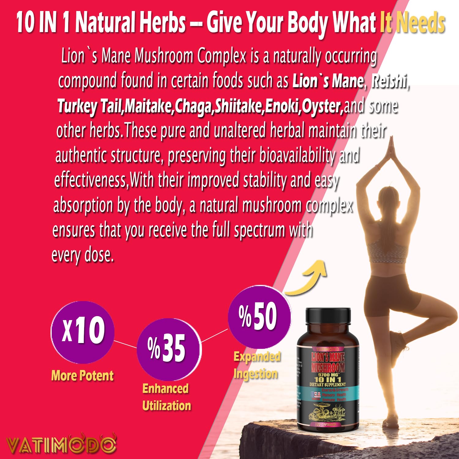 Holistic health with mushroom extracts