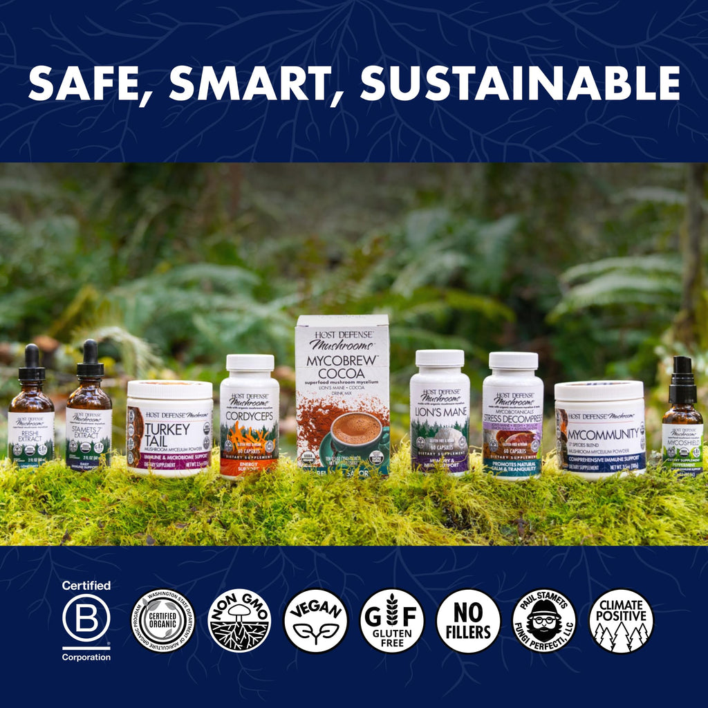 Holistic health with mushroom supplements