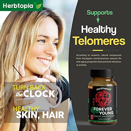 holistic health with mushroom supplements