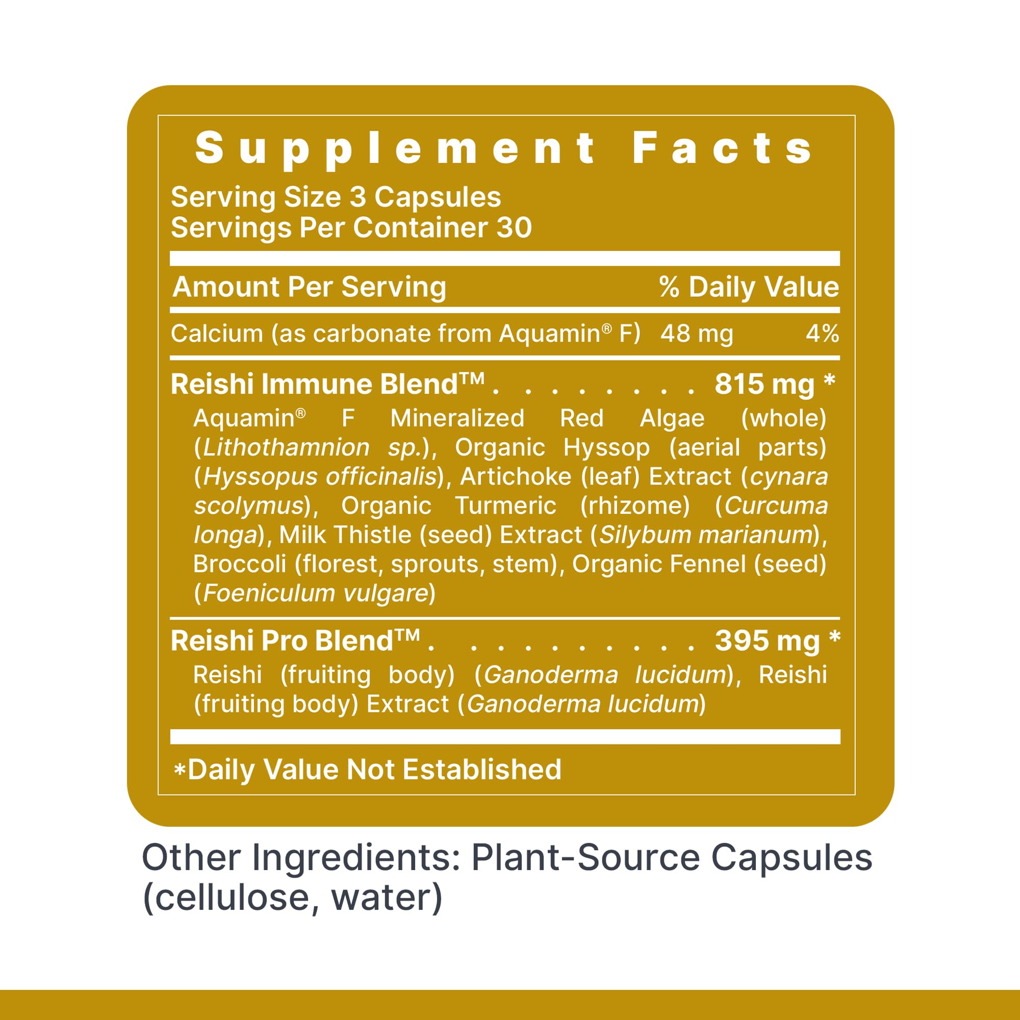 holistic health with mushroom supplements