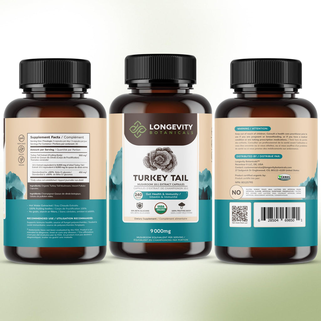holistic health with mushroom supplements