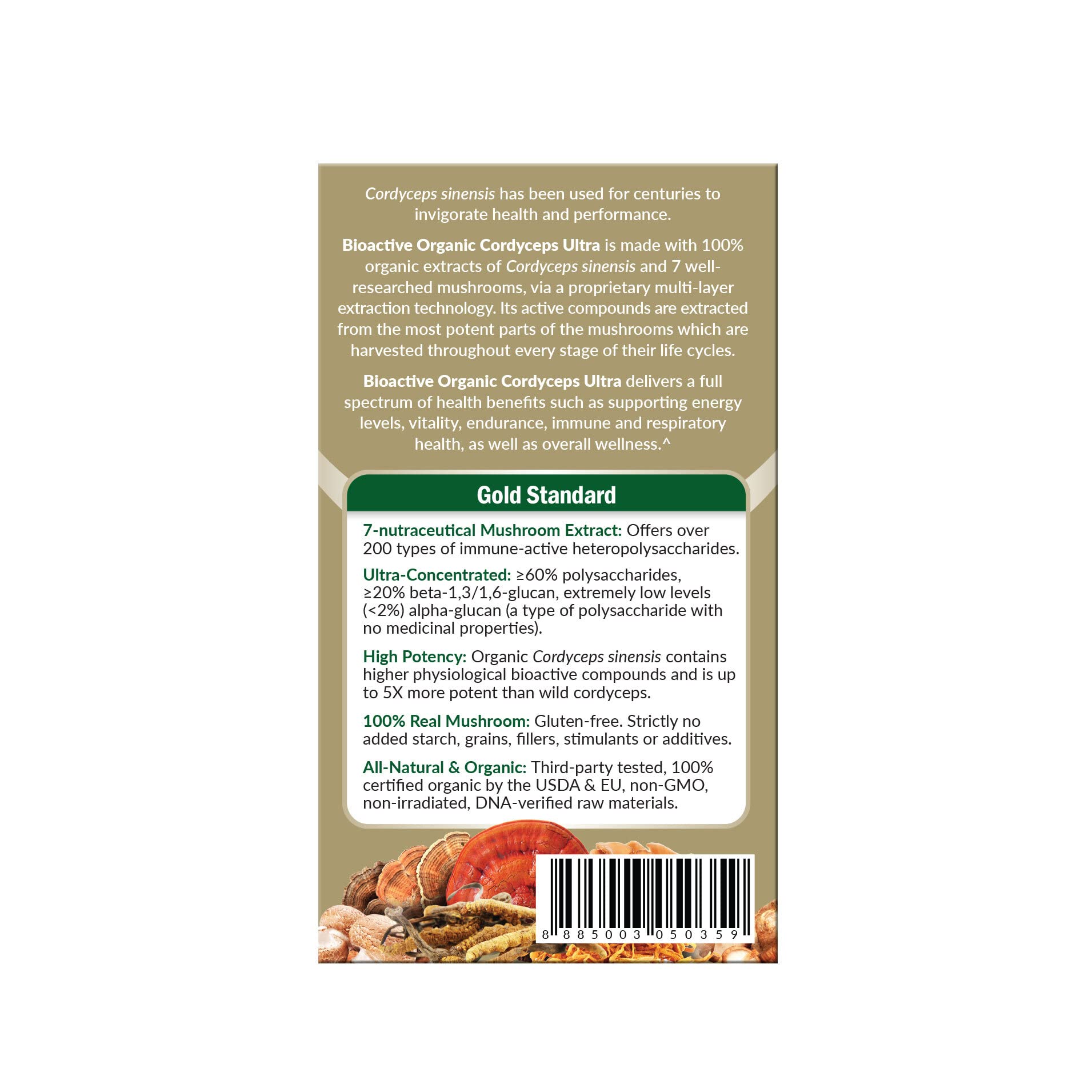 holistic health with mushroom supplements