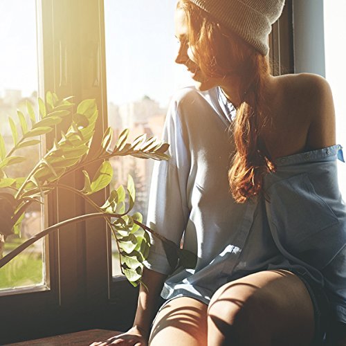 Holistic health with Onnit blended vitamin & mineral supplements