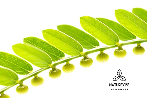 holistic health with organic bhumyamalaki