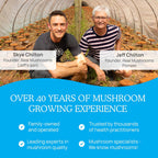 holistic health with organic mushrooms