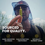 Holistic health with pine pollen