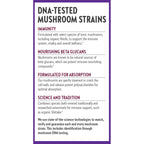 Holistic health with reishi and shiitake