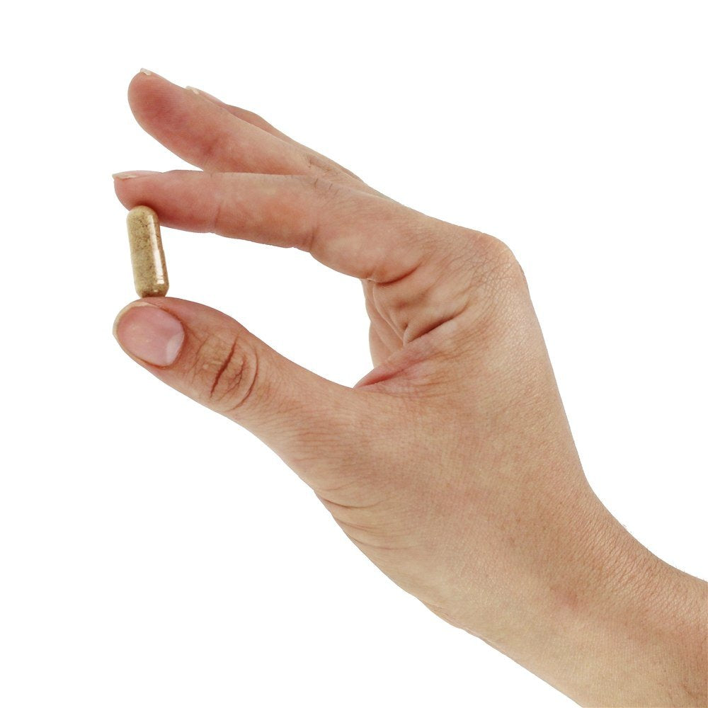 holistic health with Rose Hips supplements